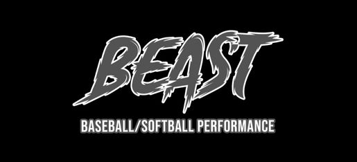 BEAST BASEBALL/SOFTBALL - Baseball Training - Middleton, Wisconsin